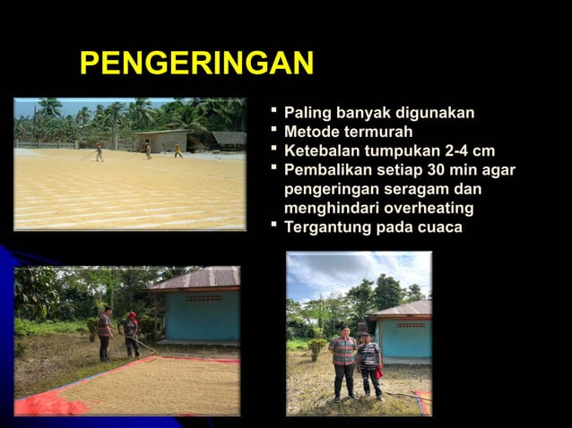 Panen Dan Pascapanen Padi HARI TANI Update.ppt