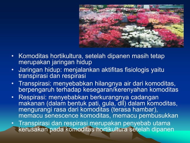 Panen, pasca panen, dan pemasaran | PPT