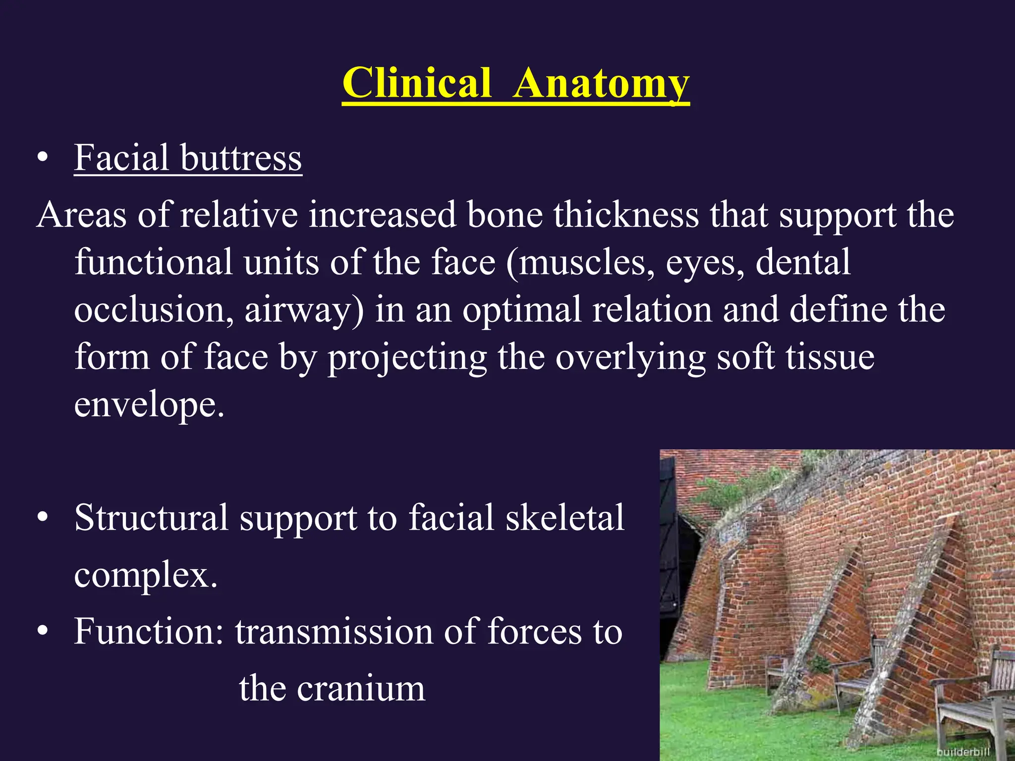 panfacial fractures- anatomy, clinical features, radiology.pptx