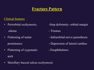 panfacial fractures- anatomy, clinical features, radiology.pptx