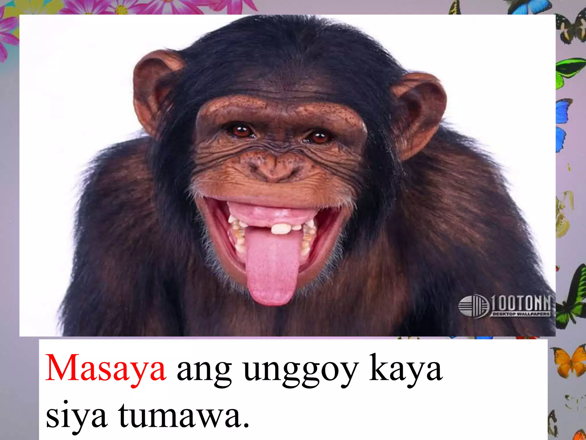 Pang uri (Panlarawan at Pamilang) | PPTX