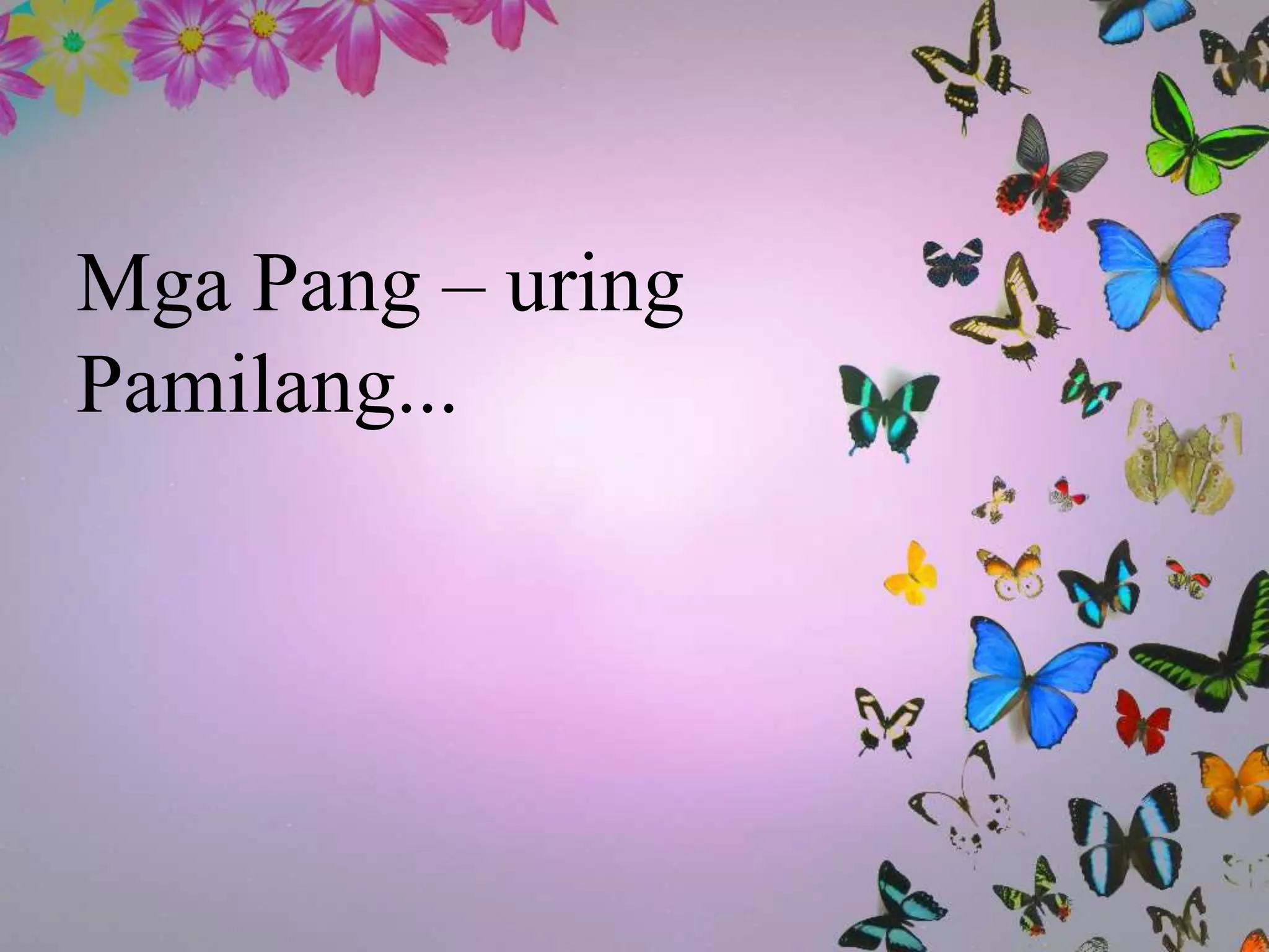 Pang uri (Panlarawan at Pamilang) | PPTX