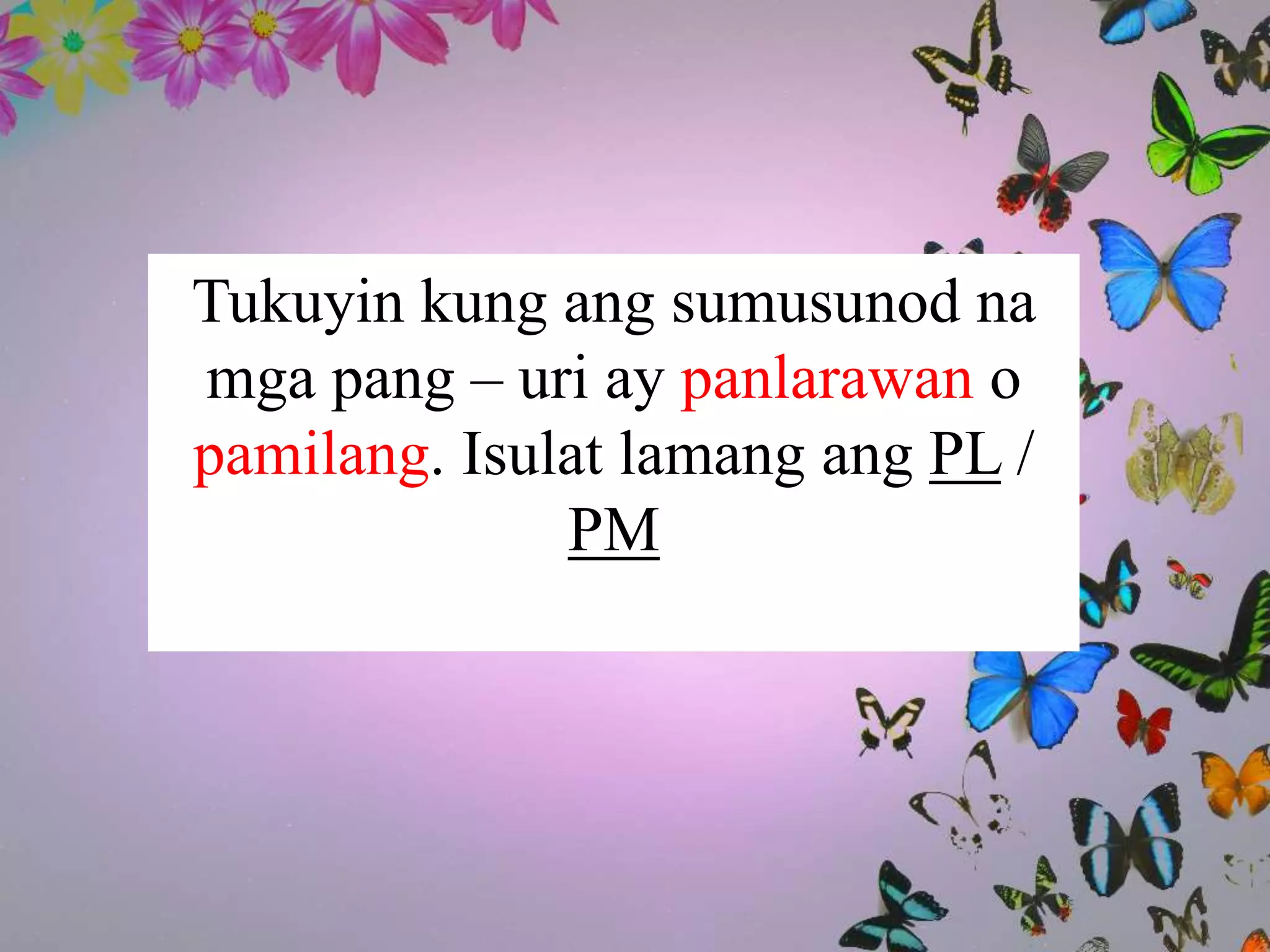 Pang uri (Panlarawan at Pamilang) | PPTX