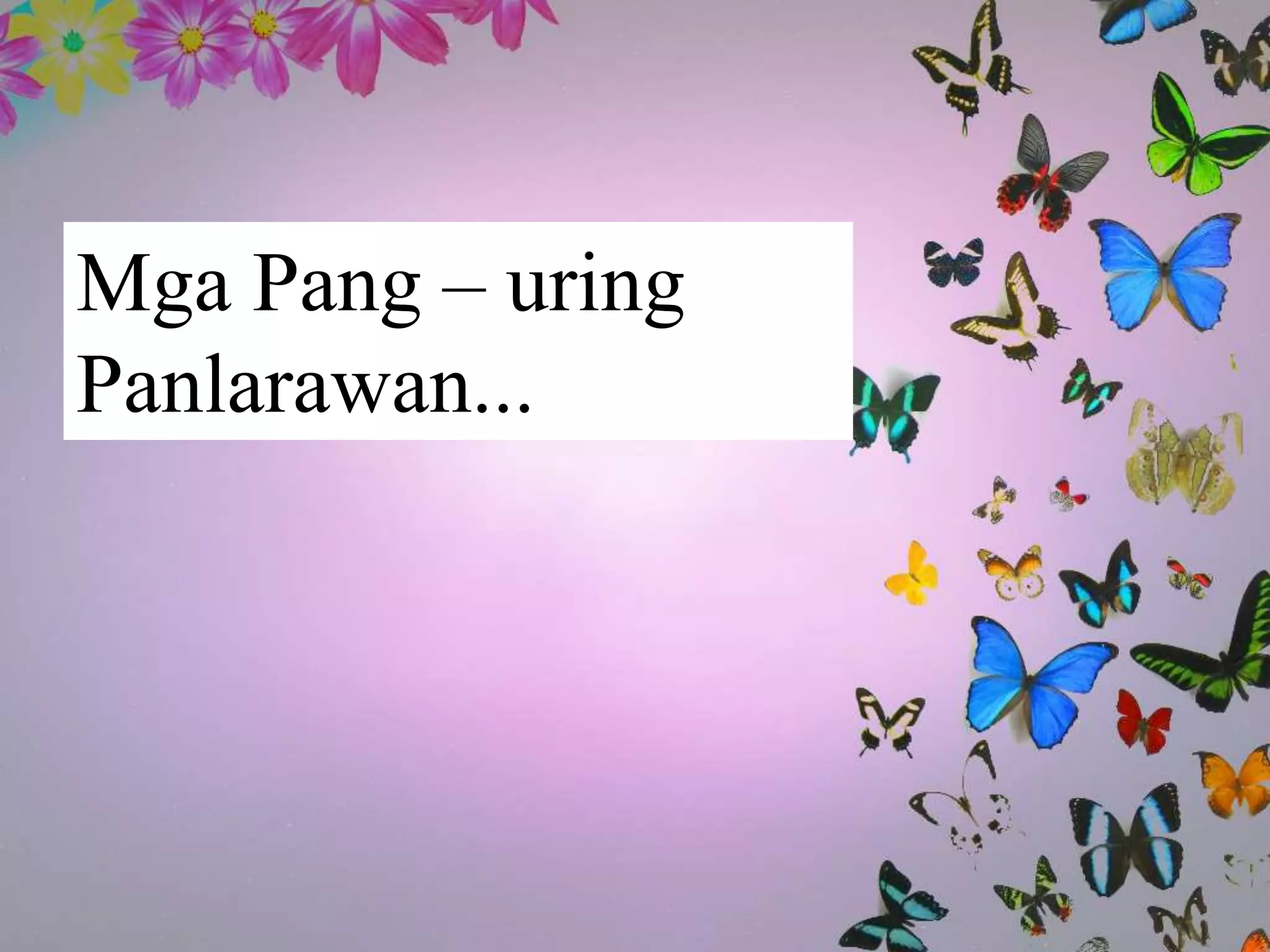 Pang uri (Panlarawan at Pamilang) | PPTX