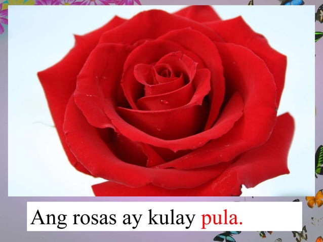 Pang uri (Panlarawan at Pamilang) | PPTX