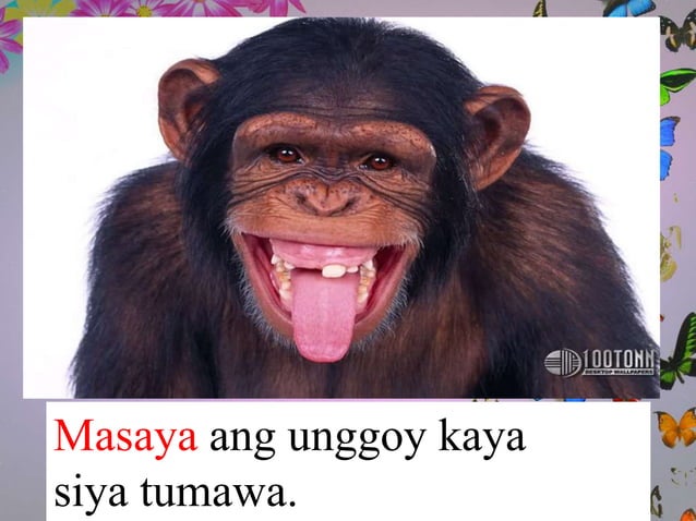 Pang uri (Panlarawan at Pamilang) | PPTX