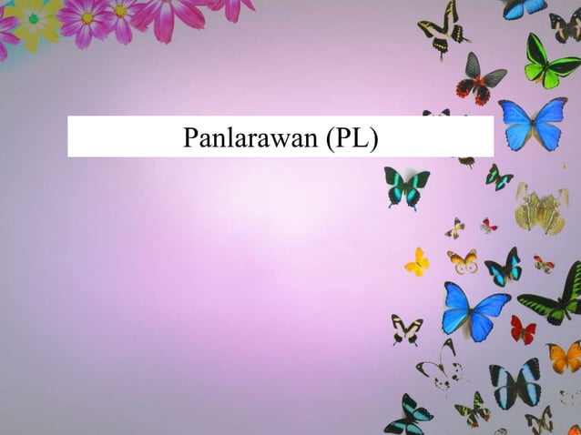 Pang uri (Panlarawan at Pamilang) | PPTX