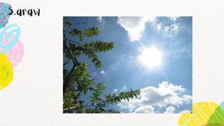 Pang-uri -salitang naglalarawa..grade 2 ...filipino | PDF