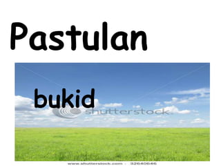 Pang-uri (pastulan) | PPTX