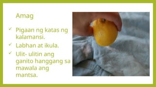 Edukasyong Pangtahan at Pagnkabuhayan pangangalaga-ng-kasuotan.pptx