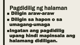 Pangangalaga ng halaman | PPTX