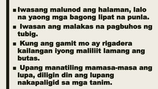 Pangangalaga ng halaman | PPTX