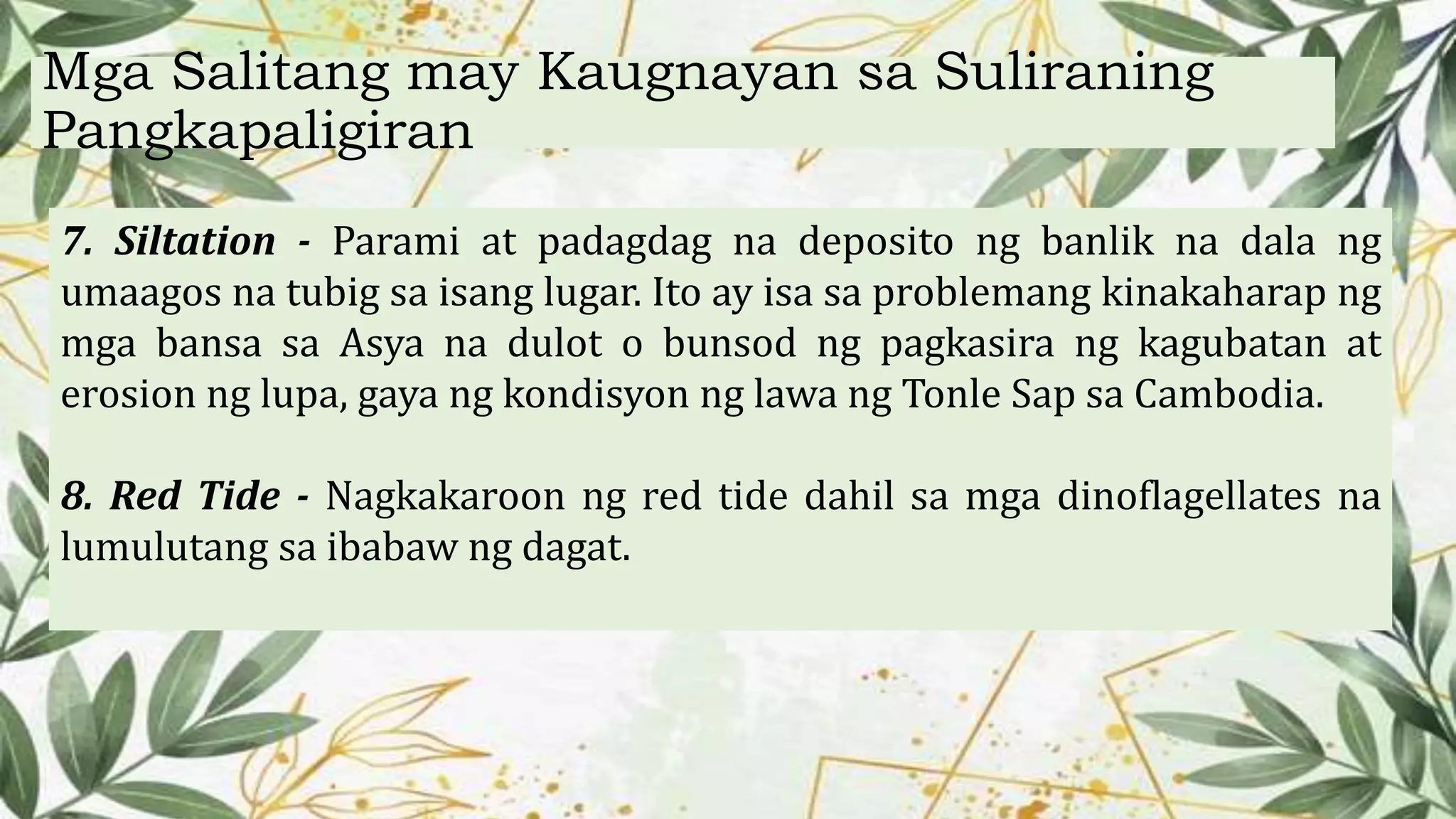 Pangangalaga sa Timbang na Kalagayang Ekolohiko ng Asya.pptx