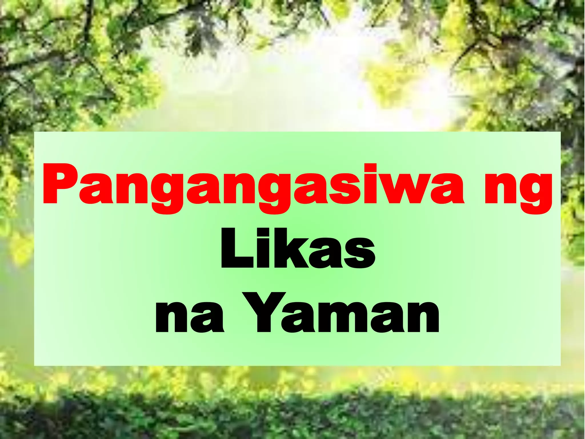 Pangangasiwa ng Likas na Yaman | PPTX