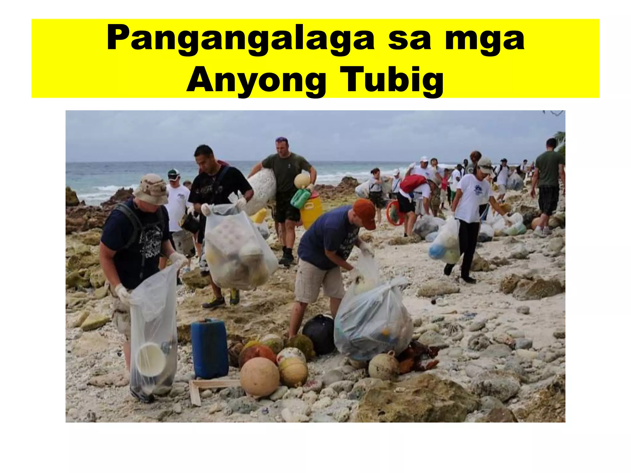 Pangangasiwa ng Likas na Yaman | PPTX