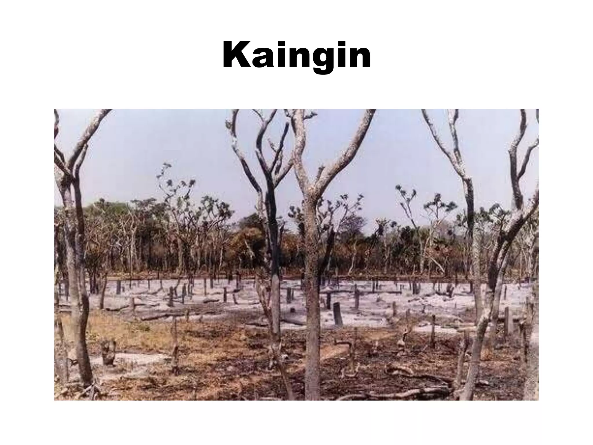 Pangangasiwa ng Likas na Yaman | PPTX