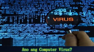 Panganib na Dulot ng Computer Malware at Virus | PPTX