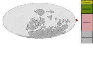 Continental Drift Animation Future