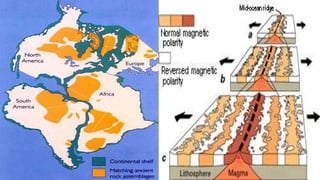 Pangaea the super continent | PPTX