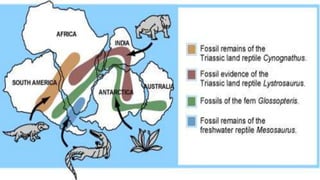Pangaea the super continent | PPTX