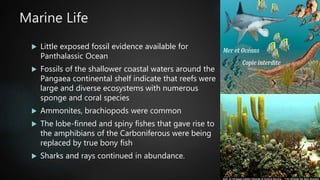 Pangaea the super continent | PPTX