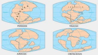 THE PANGEA,the supercontinent powerpoint | PPTX | Geography | Science