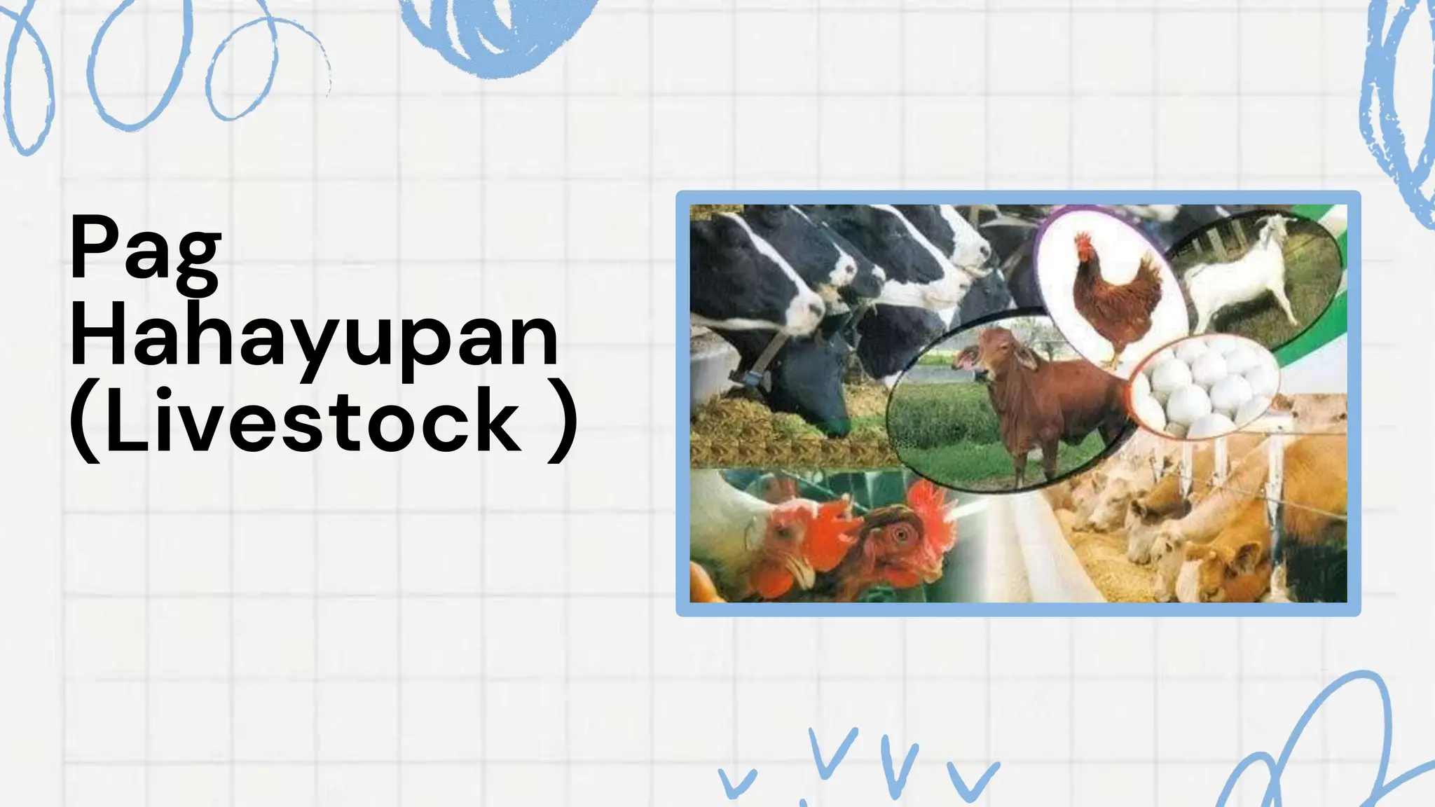 Sub- Sektor ng Agrikultura Panghahayupan | PPTX