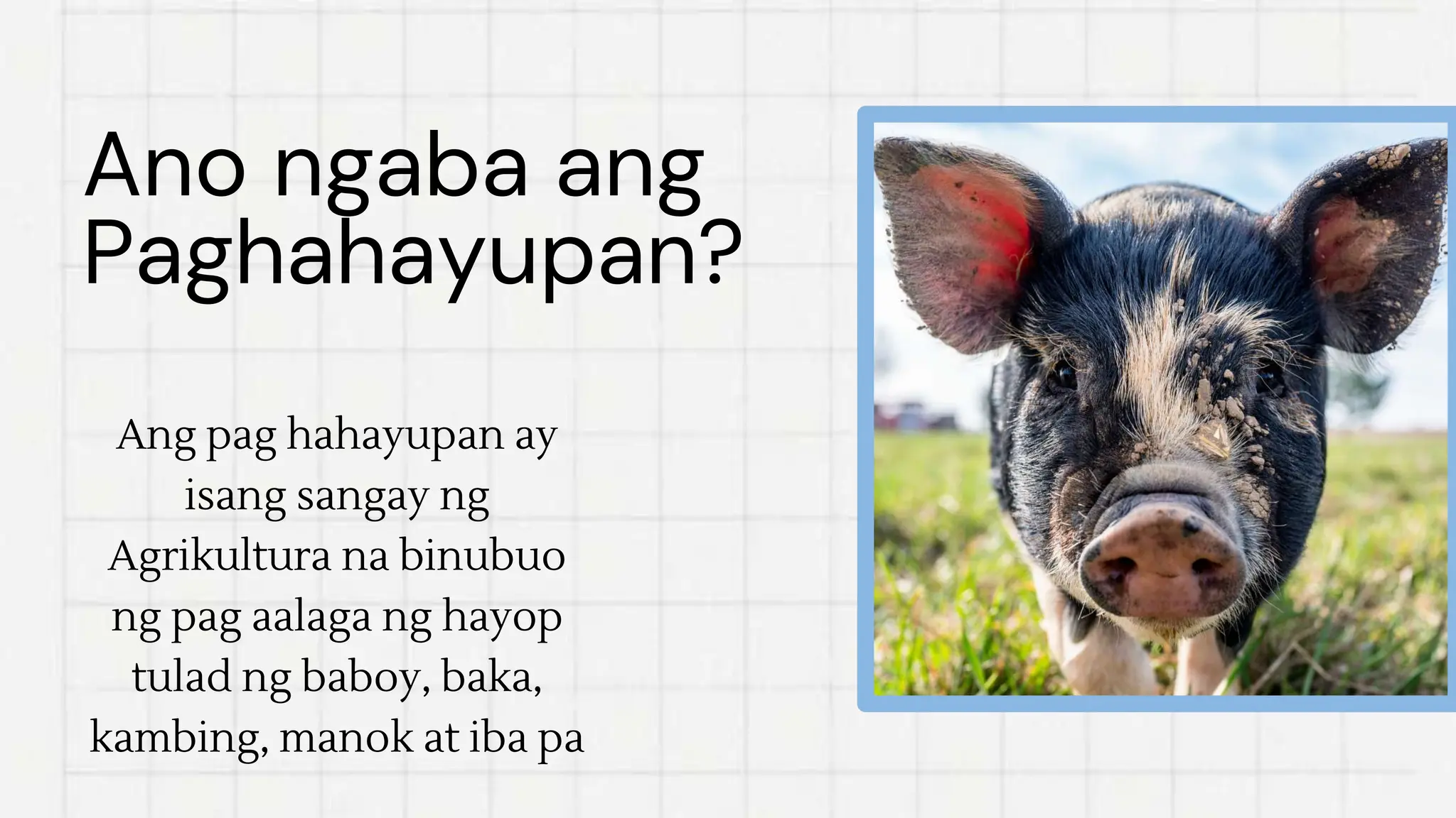 Sub- Sektor ng Agrikultura Panghahayupan | PPTX