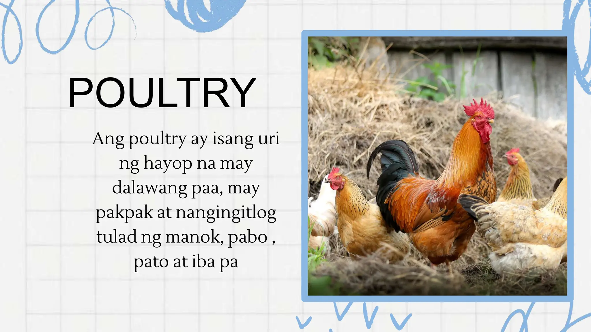 Sub- Sektor ng Agrikultura Panghahayupan | PPTX