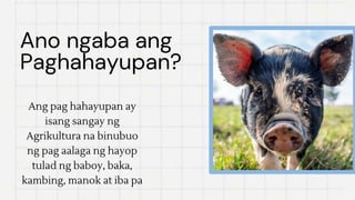 Sub- Sektor ng Agrikultura Panghahayupan | PPTX