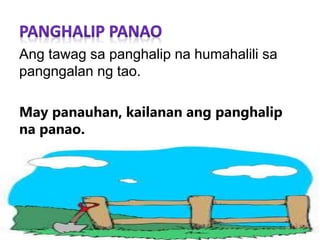 panghalip-na-panaofinal.pptx