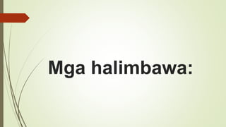 Panghalip Panao, Kailanang Dalawahan sa Kaukulang Palagyo | PPTX