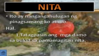 Panghalip panao ppt - kailanan at panauhan.ppt