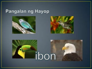 Pangngalan para sa hayop | PPTX
