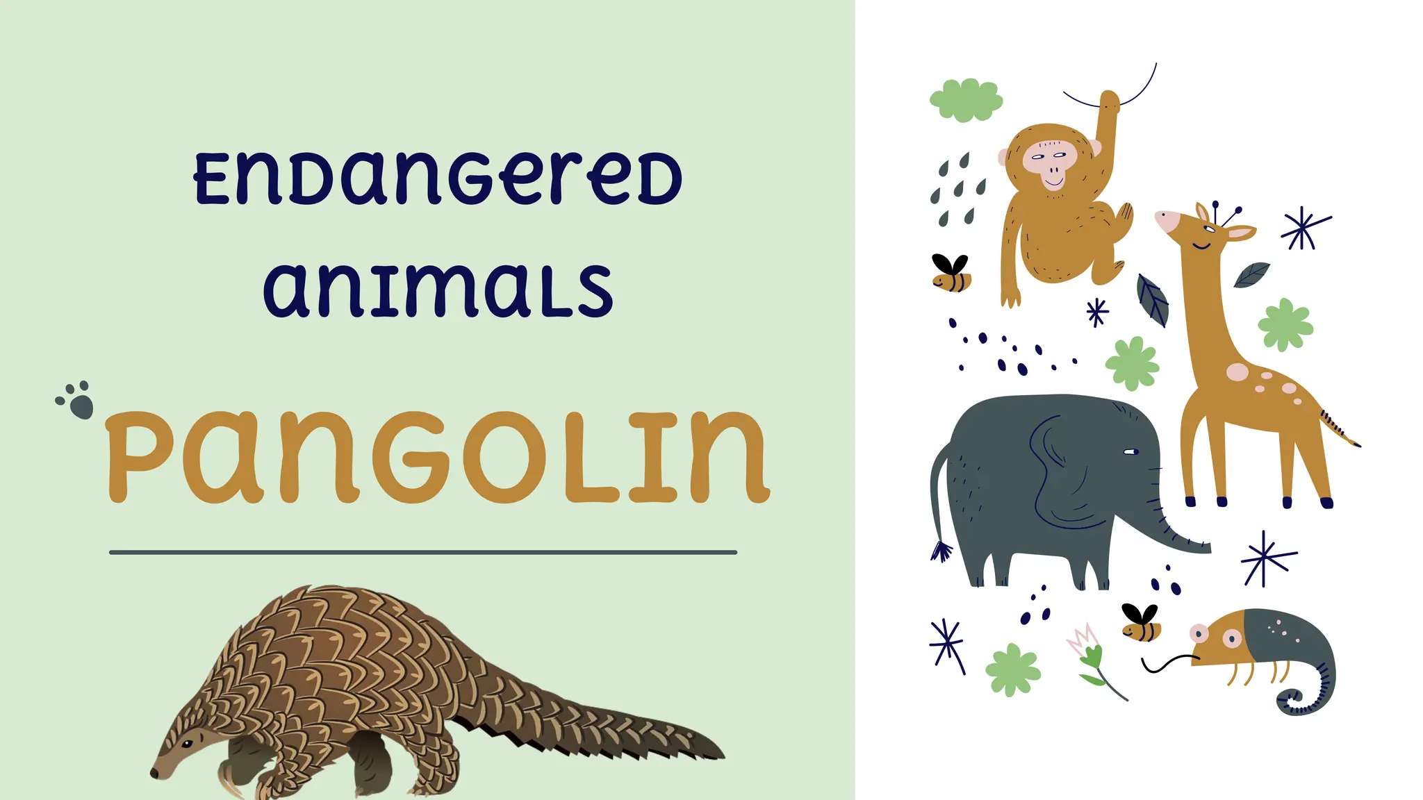 Pangolín; a very stranger animal, which is endangered | PDF