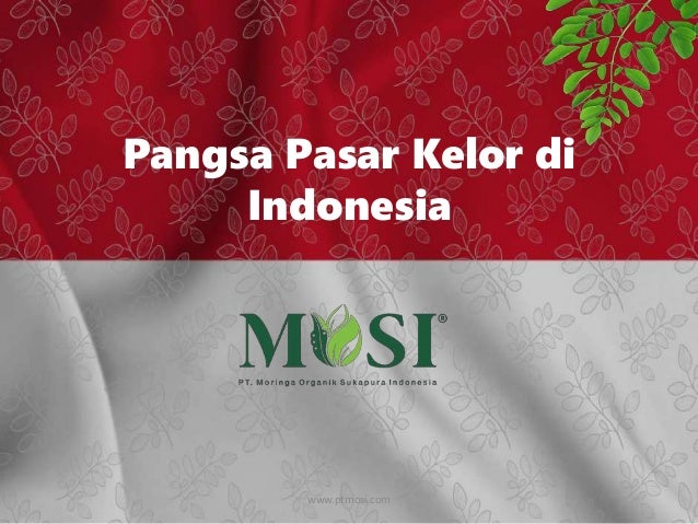 Pangsa Pasar Kelor di Indonesia | PPTX