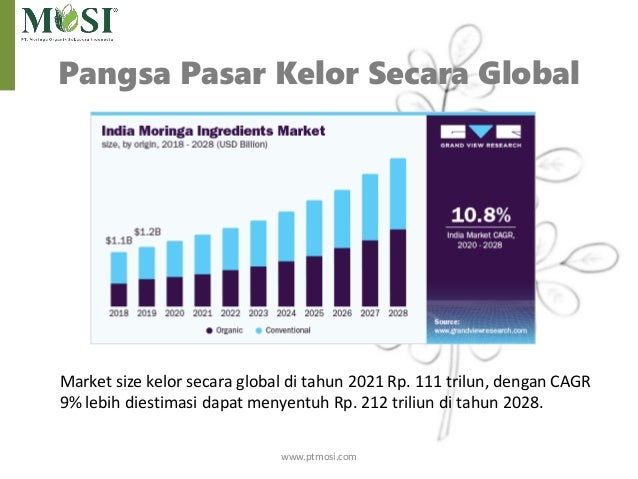 Pangsa Pasar Kelor di Indonesia | PPTX