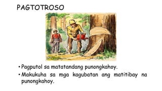 pangunahing hanapbuhay ap q3.ppt araling panlipunanx | PPTX
