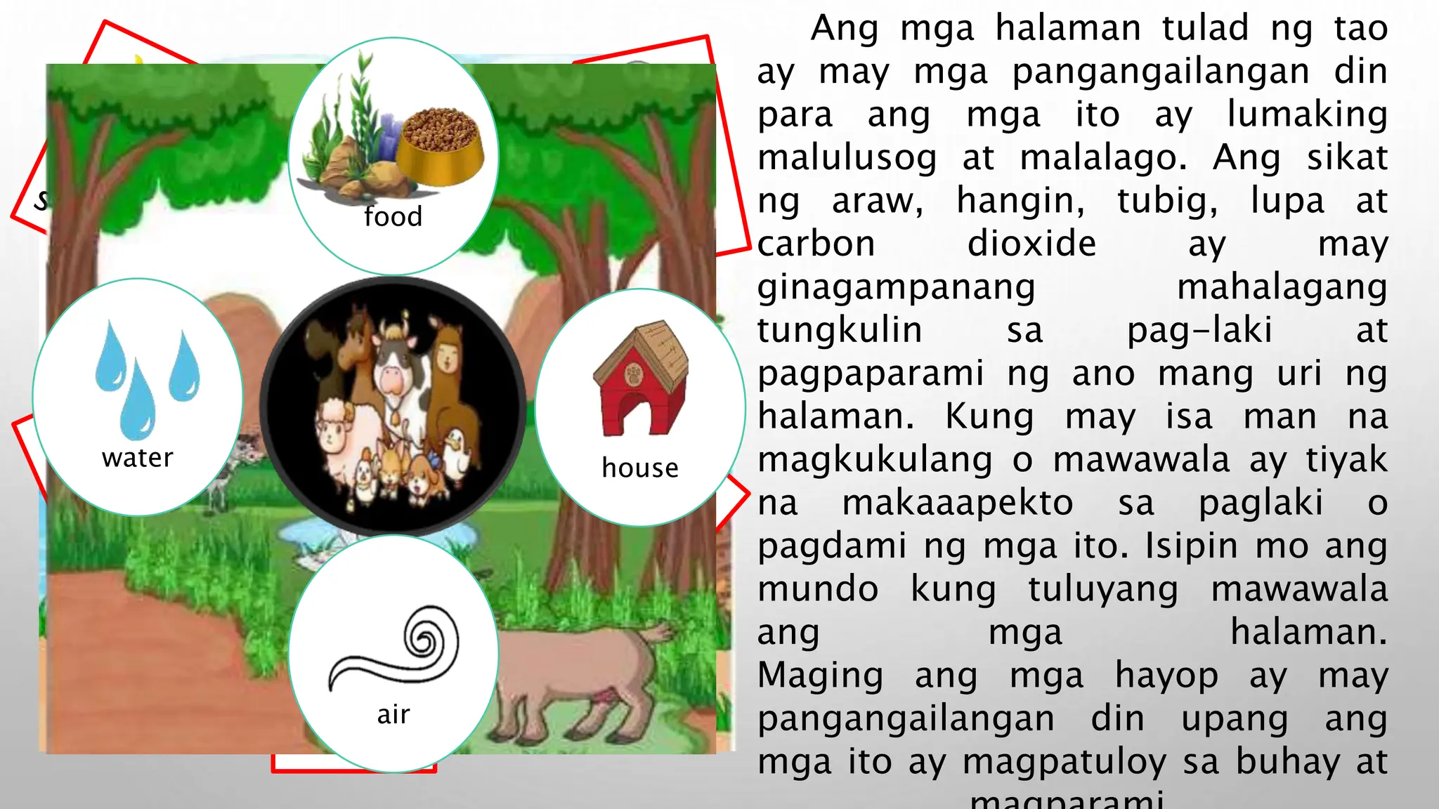 Pangunahing pangangailangan ng tao, hayop at halaman presentation.pptx