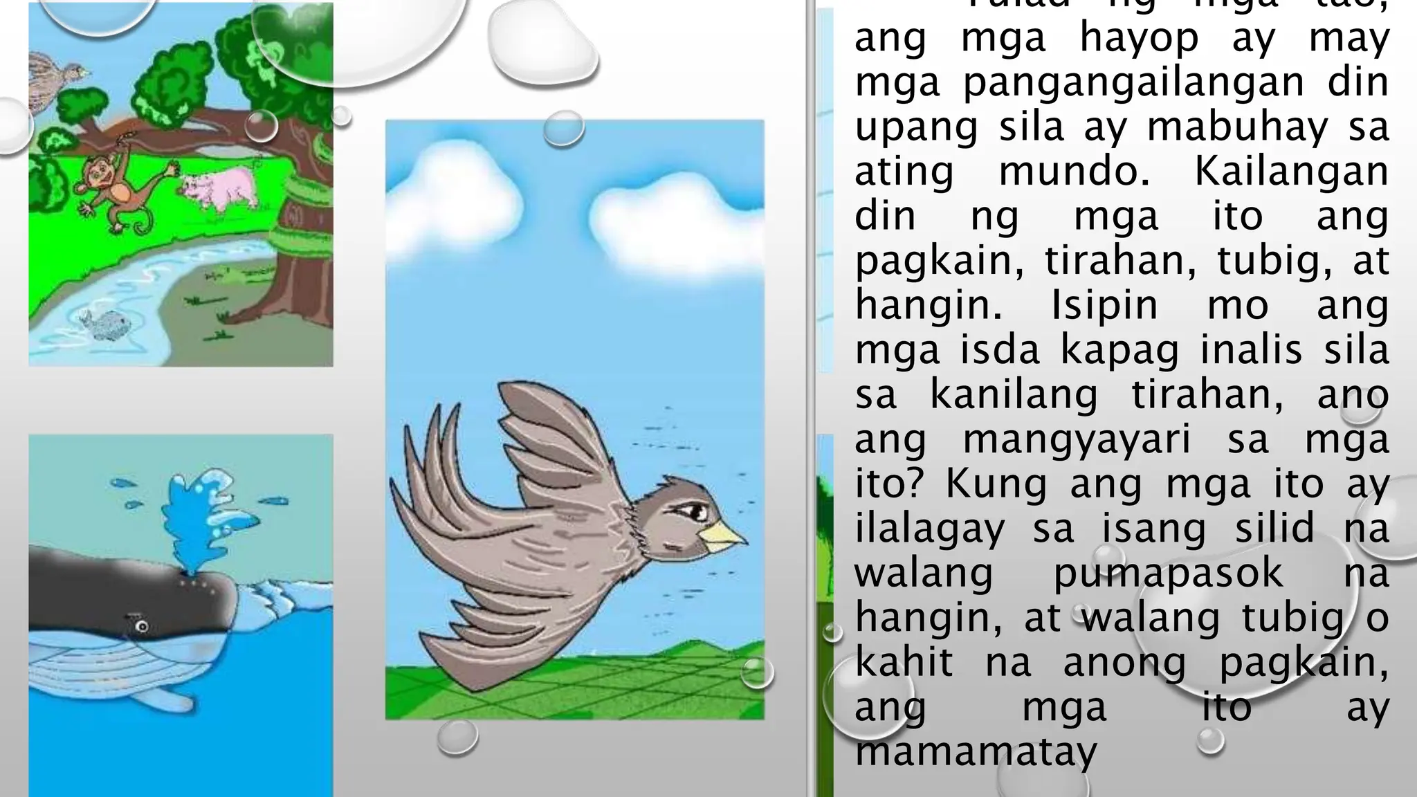 Pangunahing pangangailangan ng tao, hayop at halaman presentation.pptx