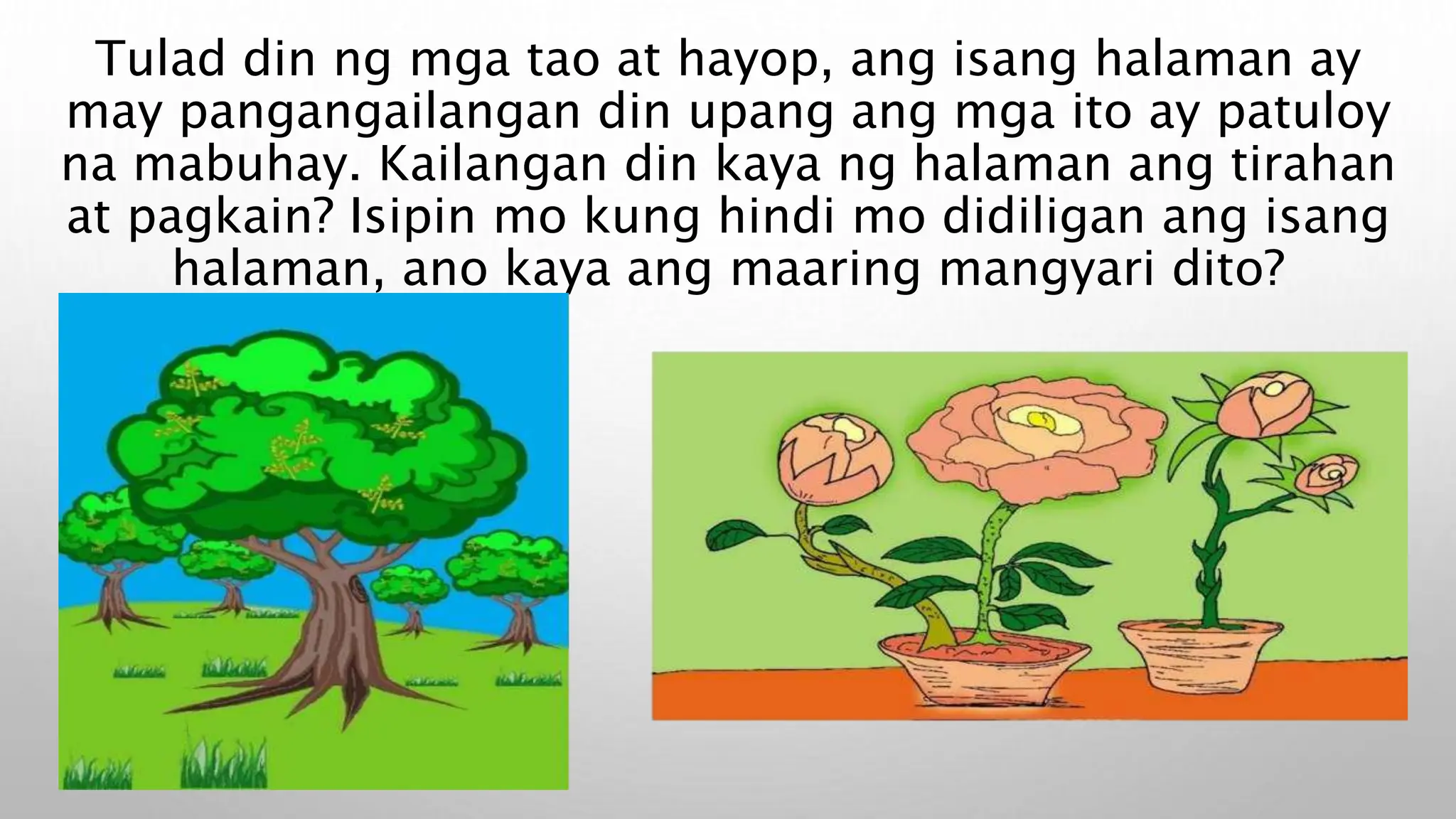 Pangunahing pangangailangan ng tao, hayop at halaman presentation.pptx