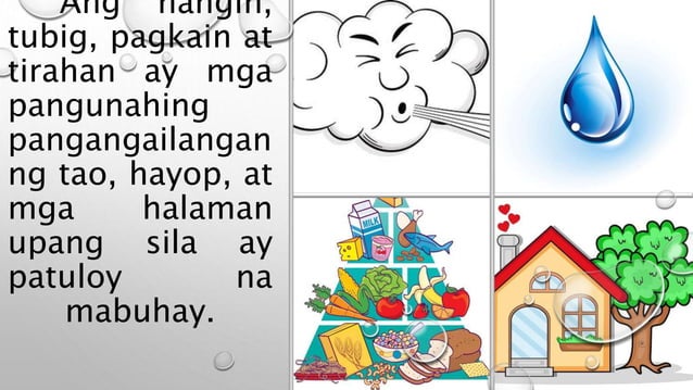 Pangunahing pangangailangan ng tao, hayop at halaman presentation.pptx