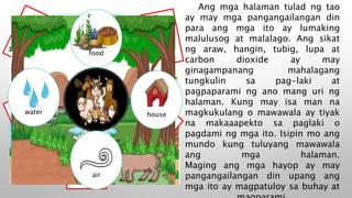 Pangunahing pangangailangan ng tao, hayop at halaman presentation.pptx