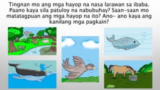 Pangunahing pangangailangan ng tao, hayop at halaman presentation.pptx