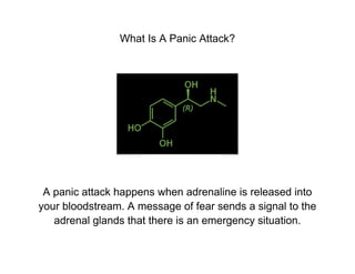 Panic Attack Help 1226 | PDF