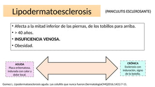 Dermatología Paniculitis final Eritema nodoso.pptx