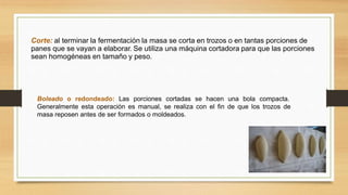 Panificacion fermentacion extraccion | PPTX
