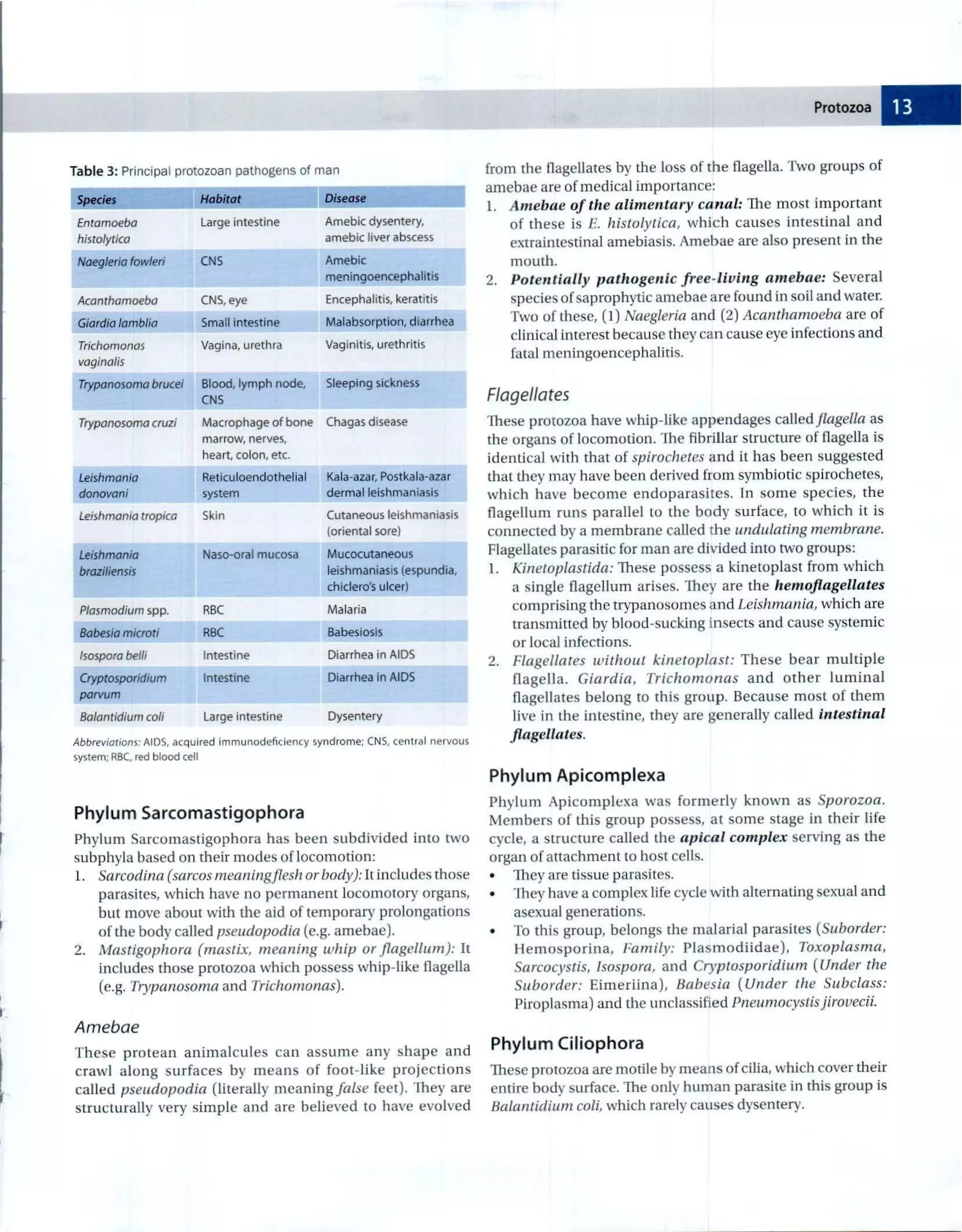 Paniker medical parasitology 8e | PDF