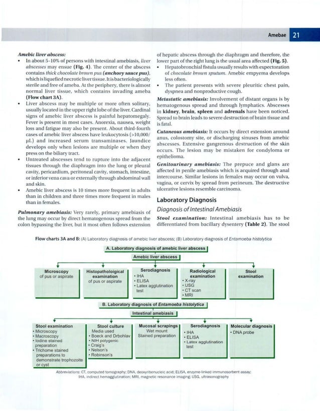 Paniker medical parasitology 8e | PDF | Infectious Diseases | Diseases ...