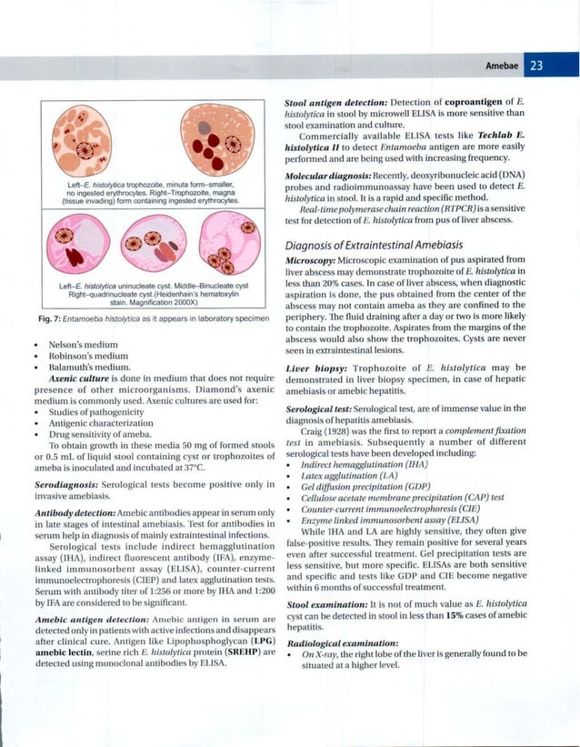 Paniker medical parasitology 8e | PDF | Infectious Diseases | Diseases ...